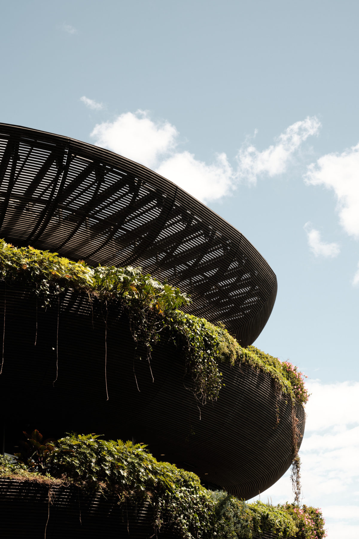 Interview: Barangaroo House — Architecture & Dining | Softer Volumes