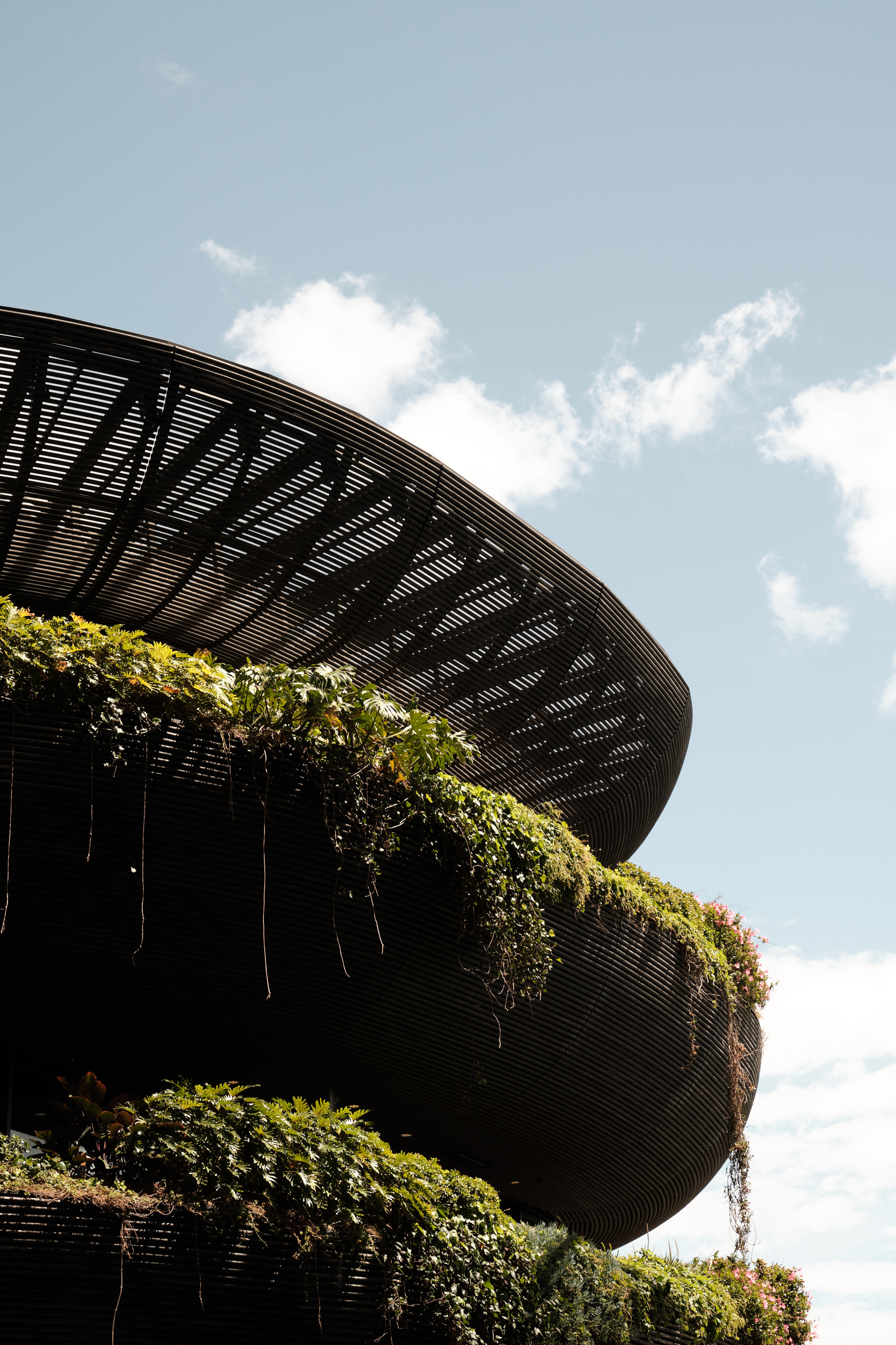 Interview: Barangaroo House — Architecture & Dining | Softer Volumes