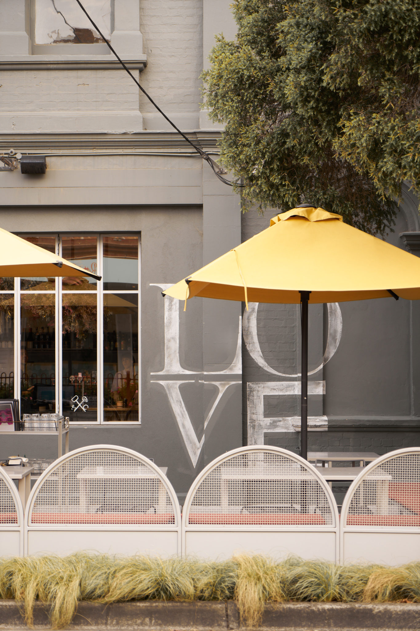 In Conversation with Carter Lovett | Softer Volumes